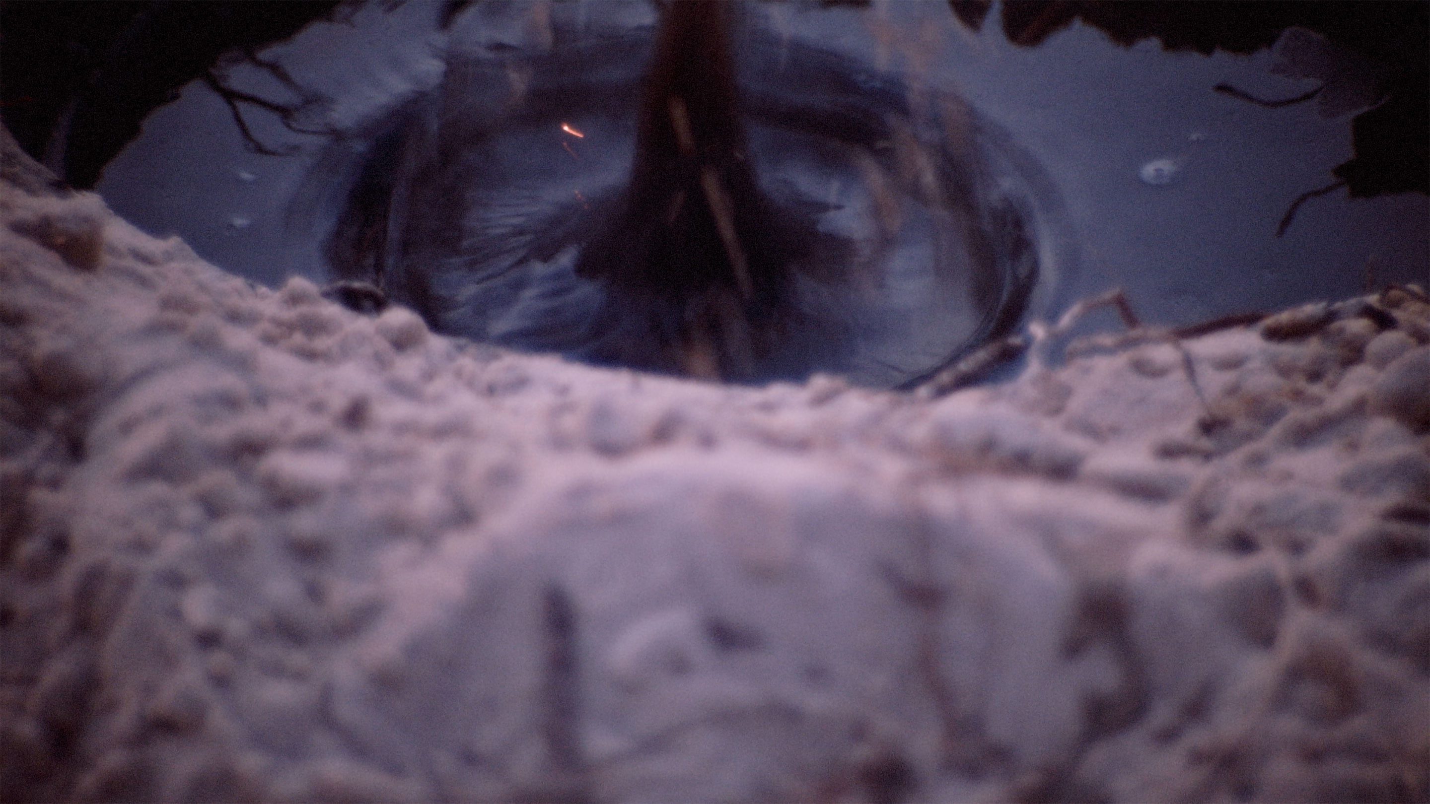 SHIGEO ARIKAWA | 有川 滋男